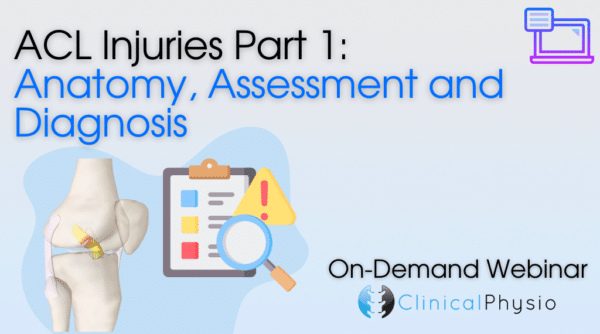 ACL Injuries Part 1: Anatomy, Assessment and Diagnosis | Clinical Physio