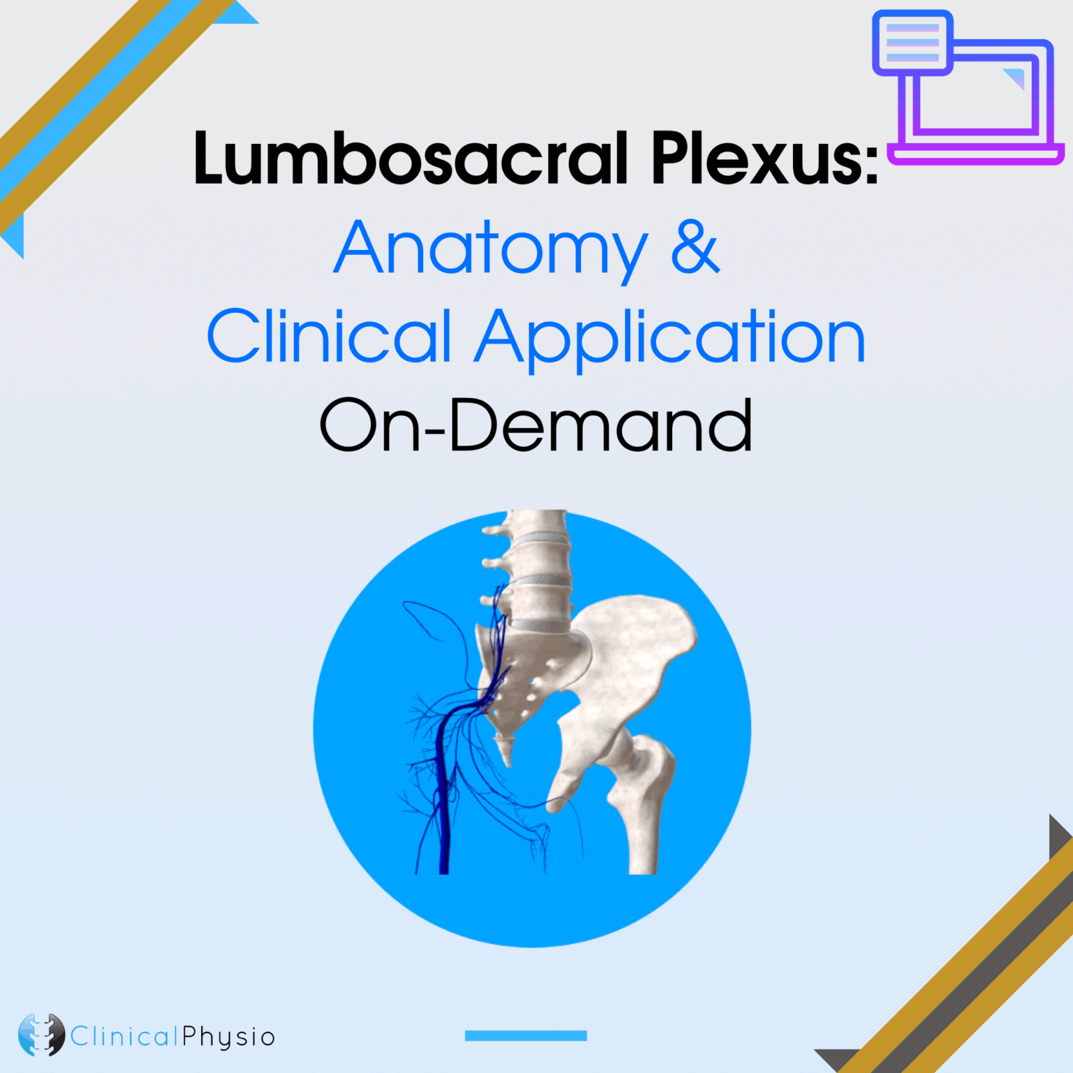 Lumbosacral Plexus: Anatomy & Clinical Application On-Demand Webinar | Clinical Physio