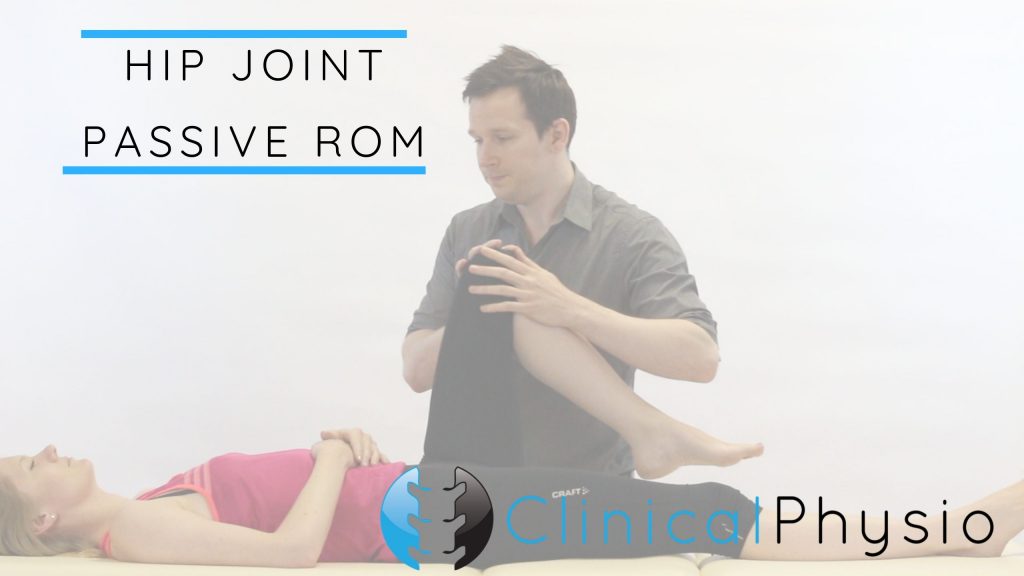 Hip | Clinical Physio