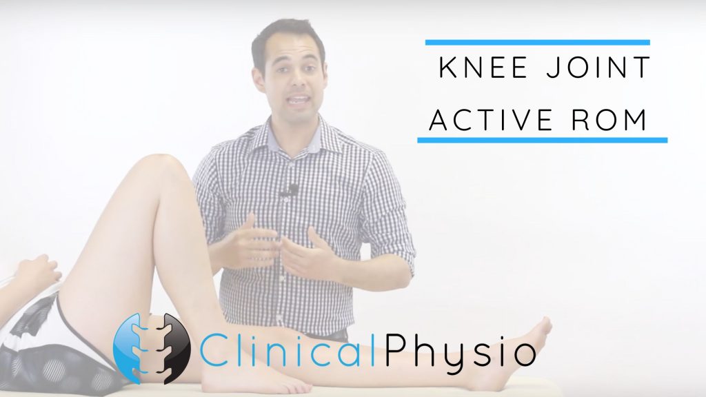 Knee | Clinical Physio