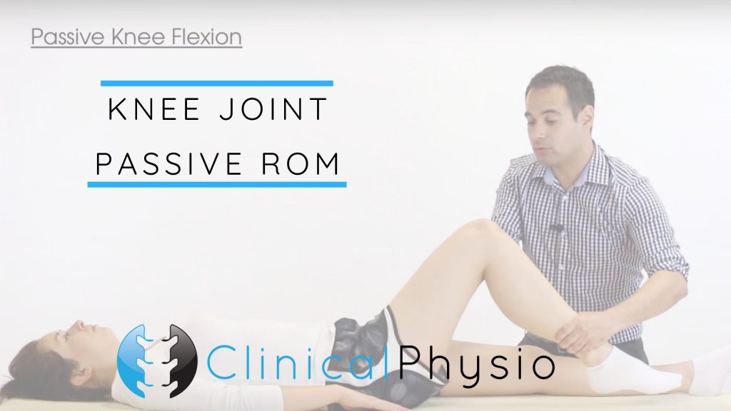 Knee | Clinical Physio