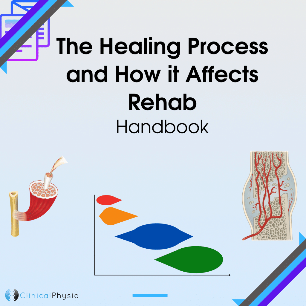 The Healing Process and How it Affects Rehab Handbook | Clinical Physio