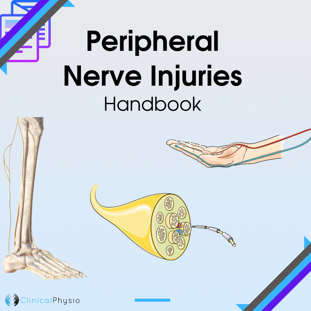 Peripheral Nerve Injuries Handbook | Clinical Physio