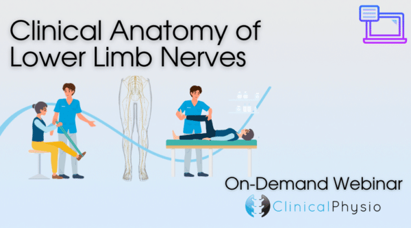 Clinical Anatomy of Lower Limb Nerves | Clinical Physio