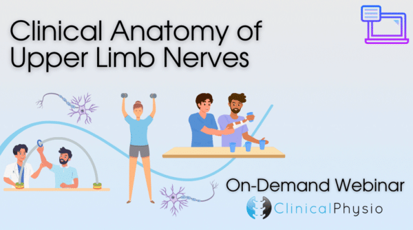 Clinical Anatomy of Upper Limb Nerves | Clinical Physio