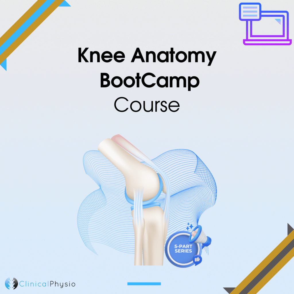 Knee Anatomy BootCamp Course | Clinical Physio
