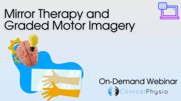 Mirror Therapy and Graded Motor Imagery | Clinical Physio