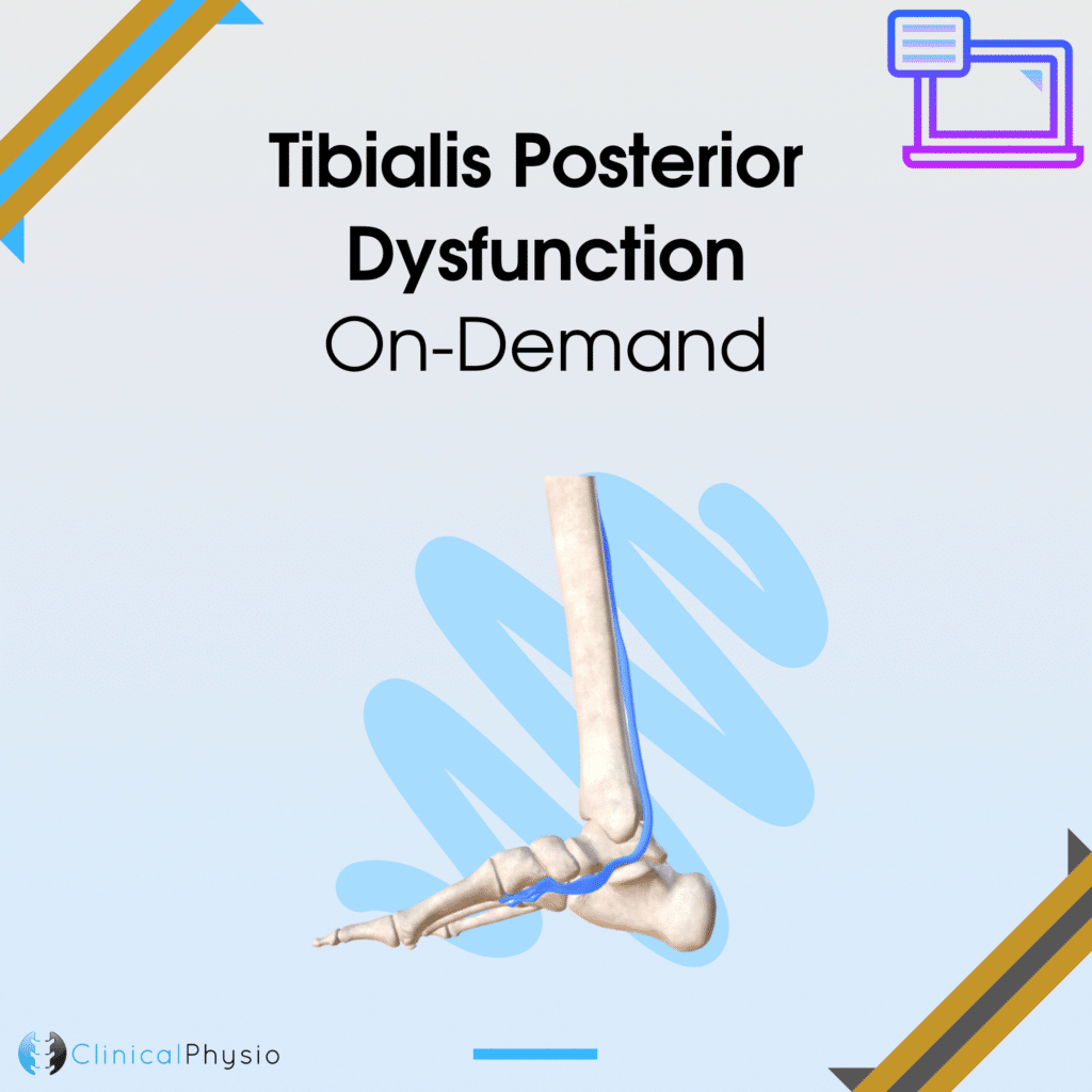 Tibialis Posterior Dysfunction On-Demand Webinar | Clinical Physio