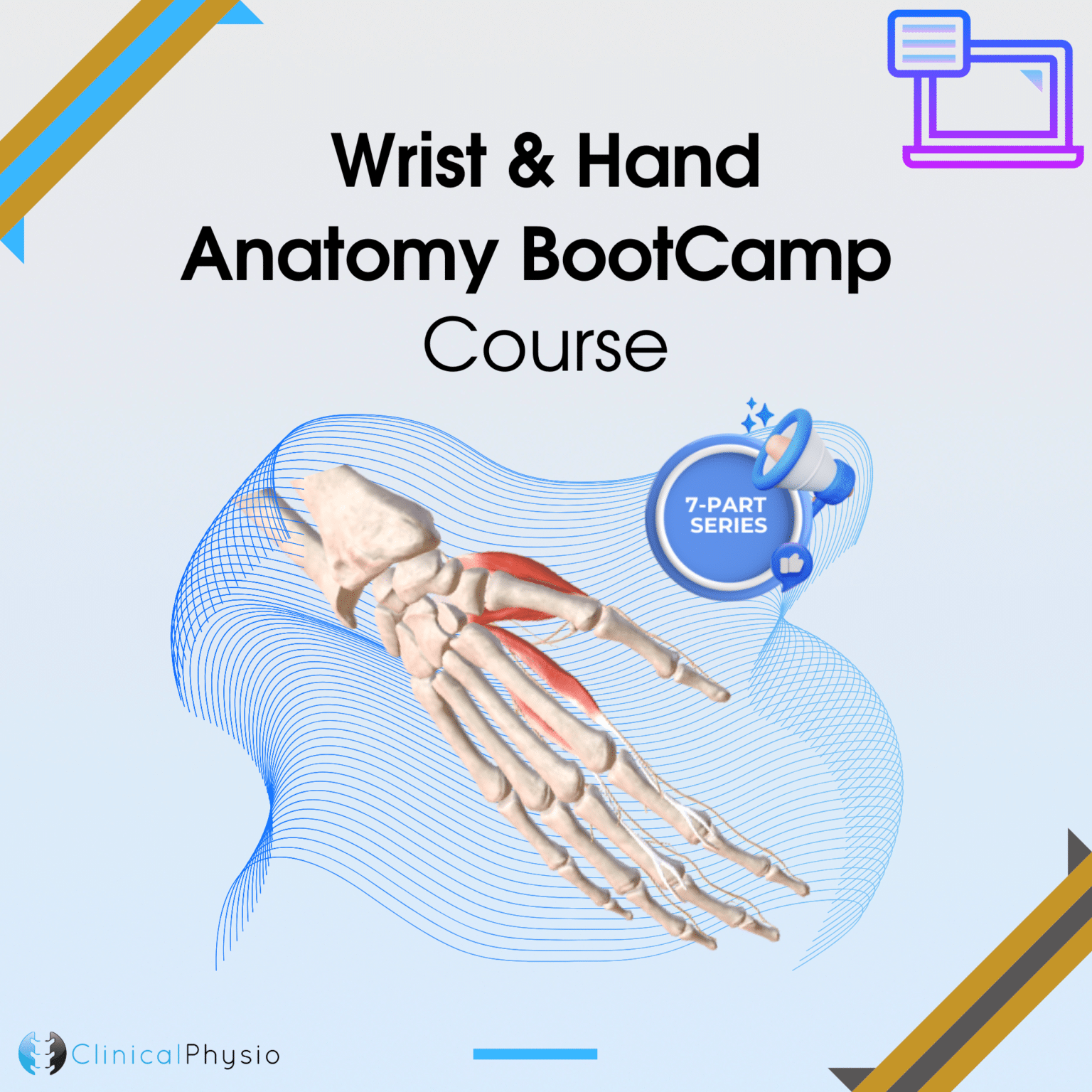 Wrist and Hand Anatomy Bootcamp Course | Clinical Physio