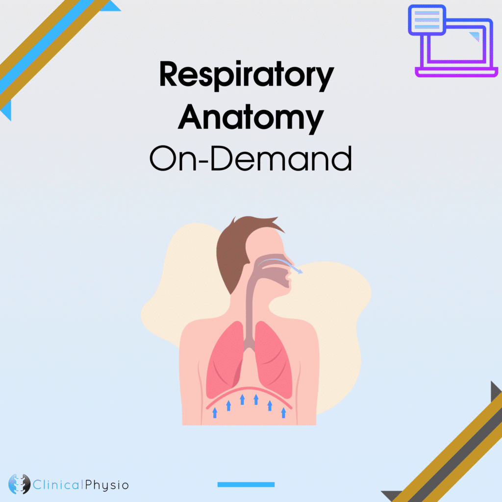 Respiratory Anatomy On-Demand Webinar | Clinical Physio