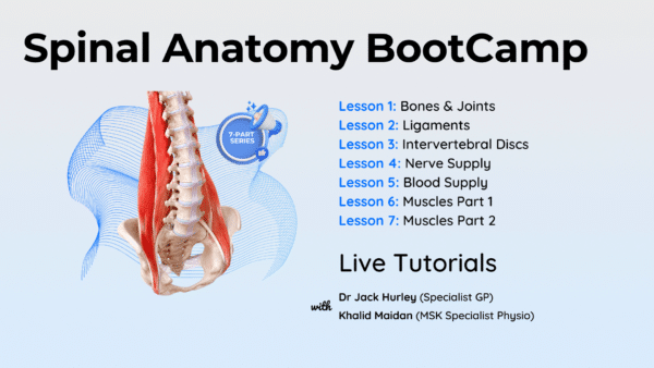 Spinal Anatomy BootCamp LIVE | Clinical Physio